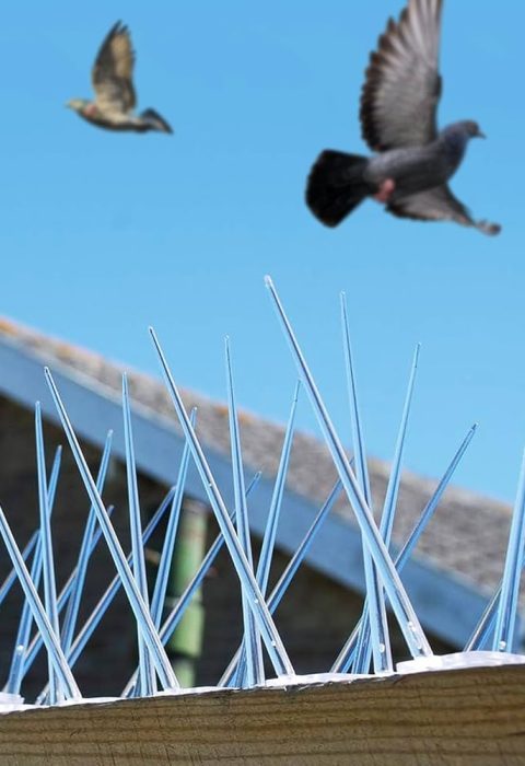 Galambtüske felszerelés, madárriasztó, galambmentesítés